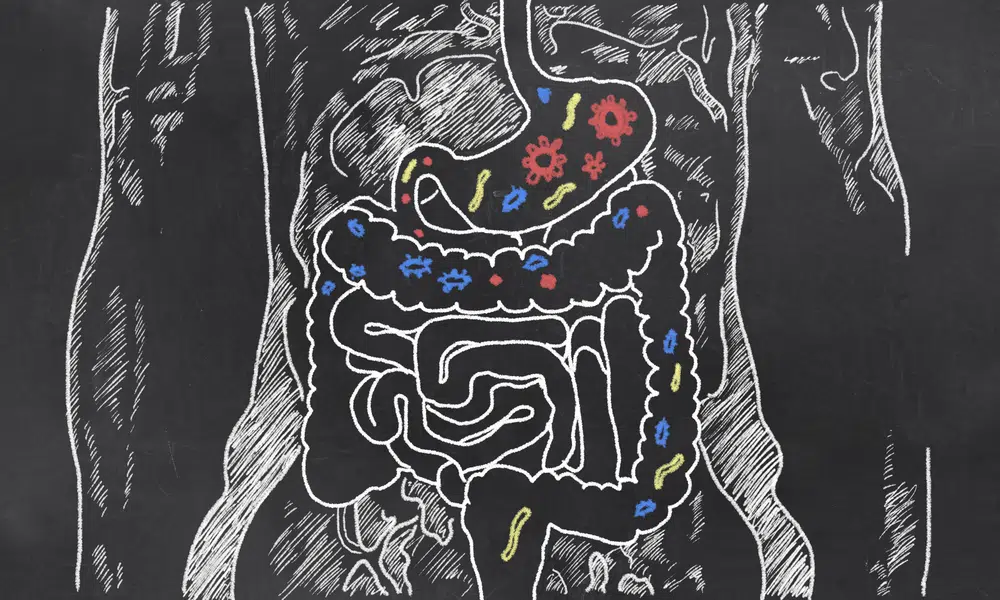 Gut Check: Is Your Body Warning You? Discover the Early Signs of ...